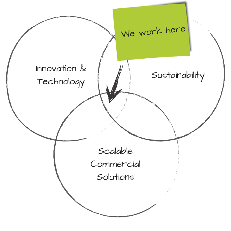 Blue Tribe Purpose | The Blue Tribe Company