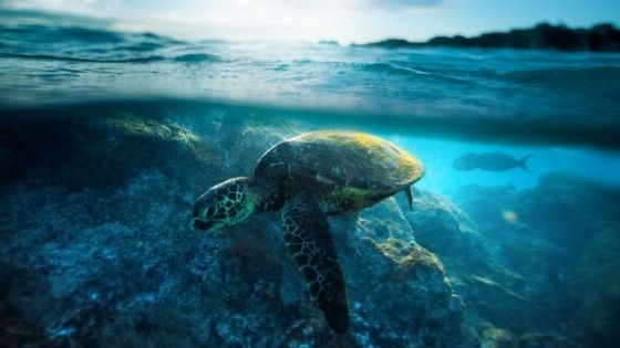 How to Design a Winning and Sustainable Business Model