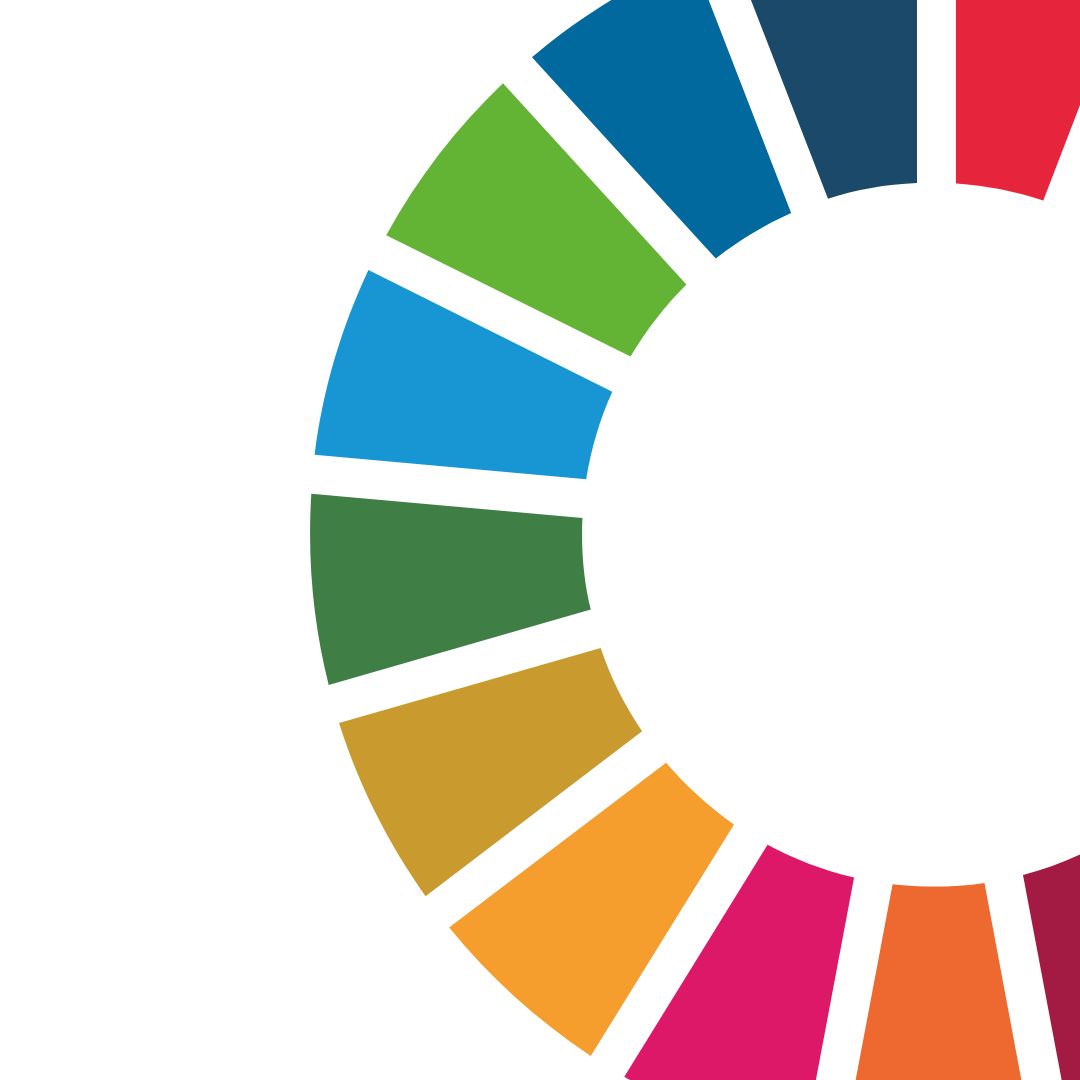 SDG Ring | The Blue Tribe Company